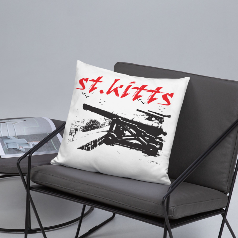 Live Streaming Cameras | View St. Kitts